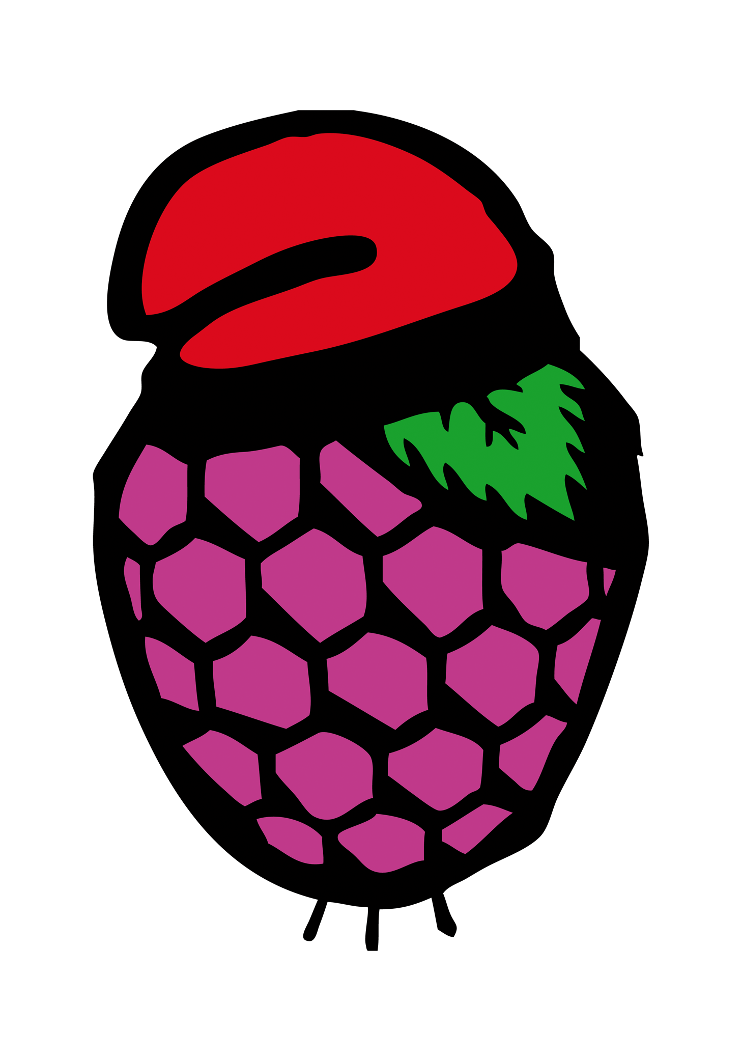 Què és raspberry.cat? | Raspberry Català